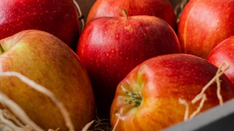 Can a Hamster Eat Apples? Benefits and Precautions